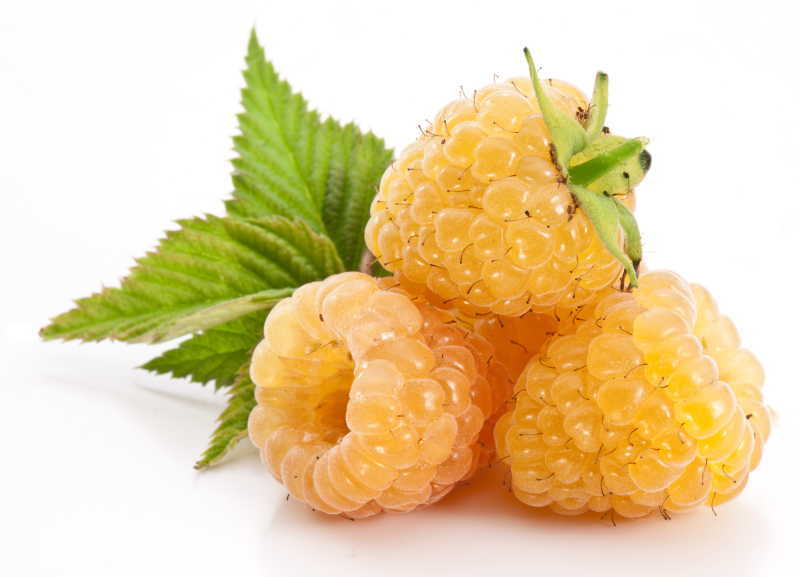 1 Pack 100 Yellow Raspberry Seeds Rubus idaeus Seed Organic Fruit | eBay