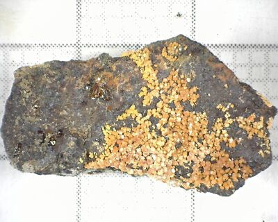 19322 MM Descloizite Vanadinite C and B Mine Christmas Banner Mining ...