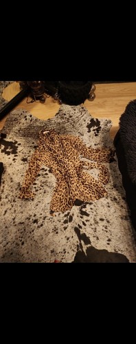 Pretty Rascal Leopard Silk Viral Beach Dress XS | eBay UK