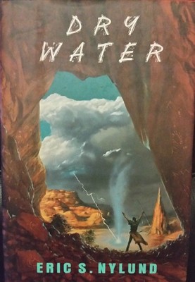 ERIC NYLUND DRY WATER HARDCOVER 1ST EDITION FEB 1997 VFINE LIKE NEW ...