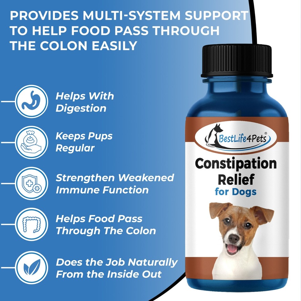 Constipation Relief for Dogs Natural Laxative Stool Softener, Helps ...