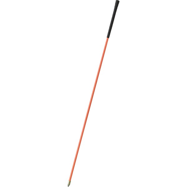 Forestry Suppliers Economy Plot Center Stick for sale online | eBay