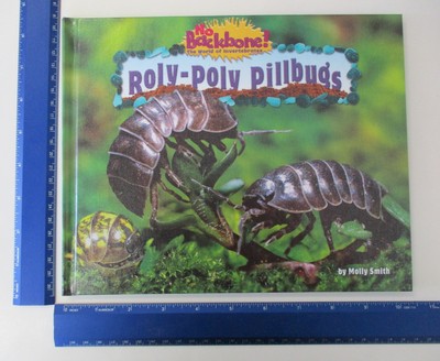 Roly-Poly Pillbugs [No Backbone! Creepy Crawlers] - Smith, Molly ...