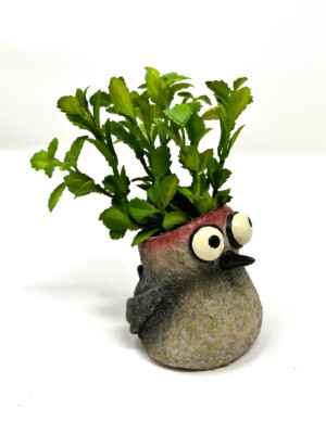5" Potted Baby WOODPECKER Mini Blob House pot WITH faux PLANT as shown ...