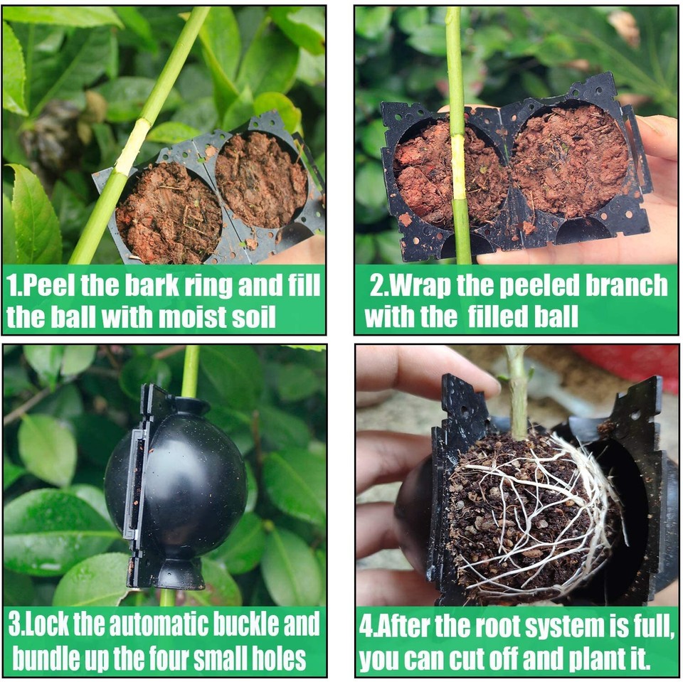 8PCS 8/12cm Plant Rooting Box Root Grafting Air Layering Pod High ...