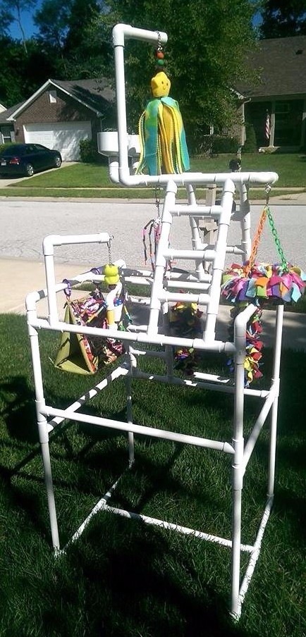 PVC Parrot Play Stand - Our LARGER FLOOR PERCH **FREE SHIPPING** Birds ...