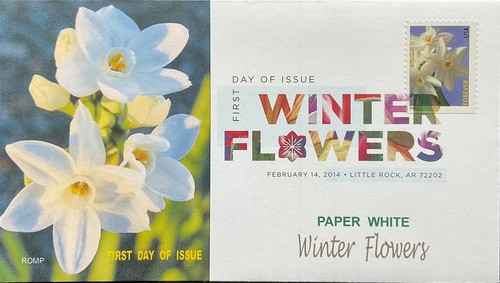 Romp Cachets 4865 Winter Flowers Paper White Little Rock Arkansas Color ...