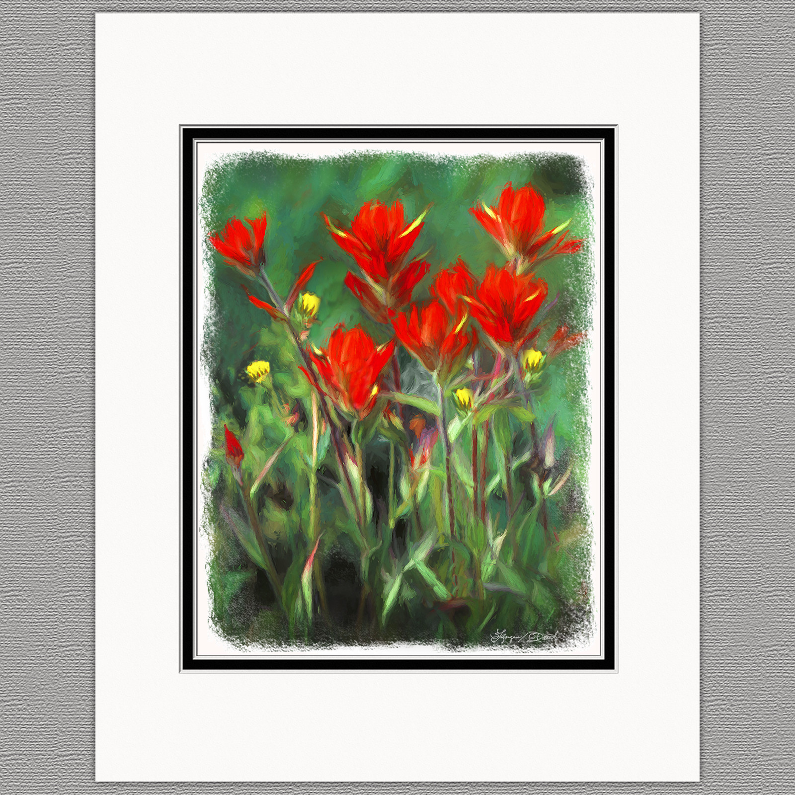 Indian Paintbrush Wildflower Flower 8x10 Painted Style Print Matted to ...
