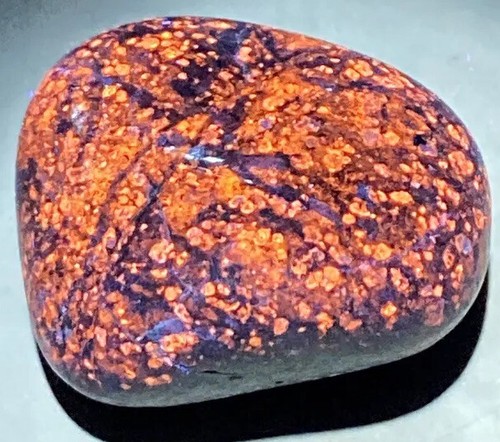 FLUORESCENT SODALITE ROCK FROM LAKE ONTARIO IN NEW YORK! FREE DOMESTIC ...