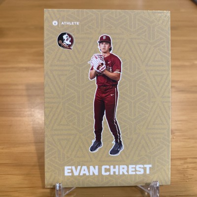 2025 Onit Athlete Florida State Seminoles Fusion Series Parallel F-7 ...