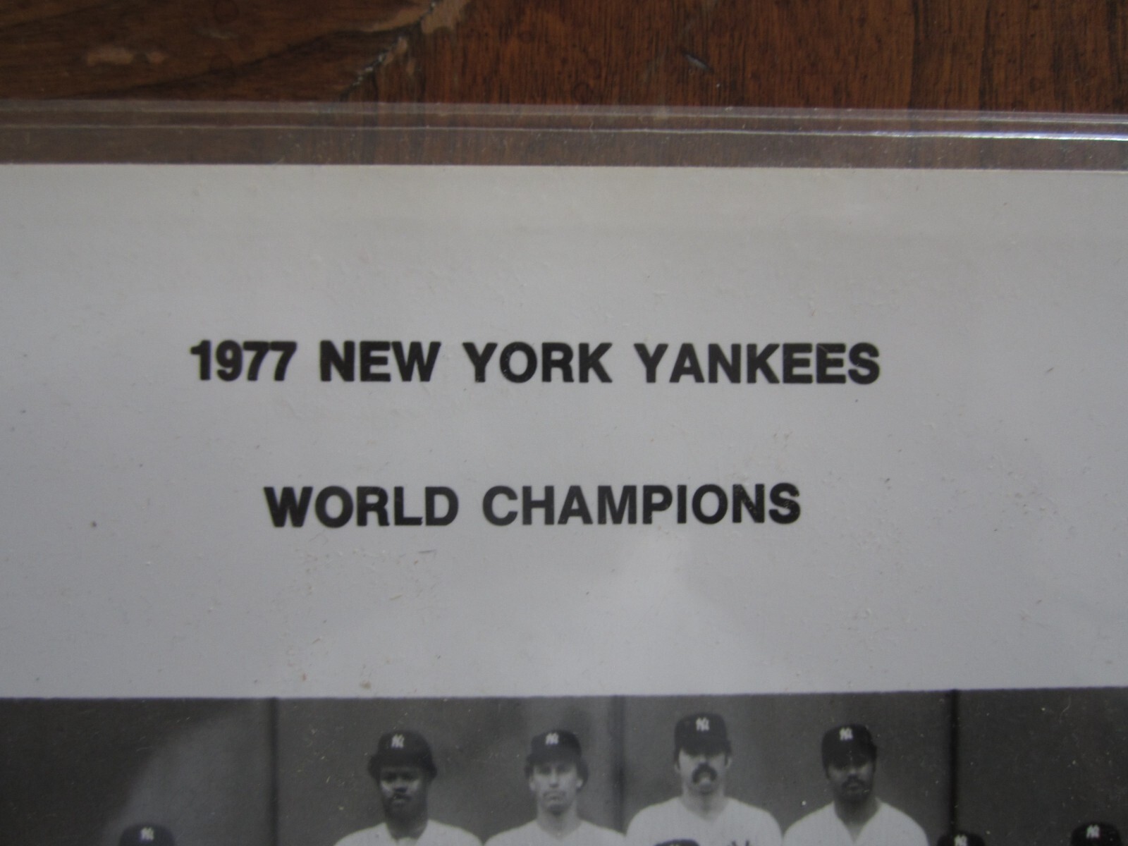 1977 WORLD CHAMPIONS NEW YORK YANKEES Official photo 8X10 TEAM PHOTO | eBay
