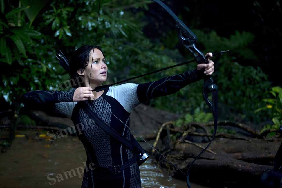 Catching Fire Arrow