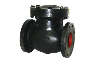 Apollo 920F Series 4" Cast Iron Flanged Class 250 Swing Check Valve ...