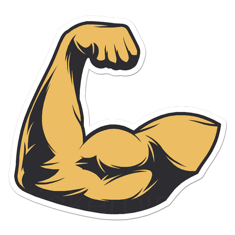 Bicep Muscle Weights, Vinyl Decal Sticker, Indoor Outdoor, 3 Sizes ...