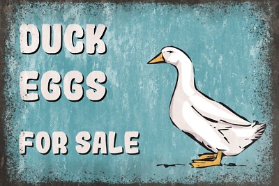 Duck Eggs For Sale, Aged Look New Metal Sign for Farm, Drive, Garden ...