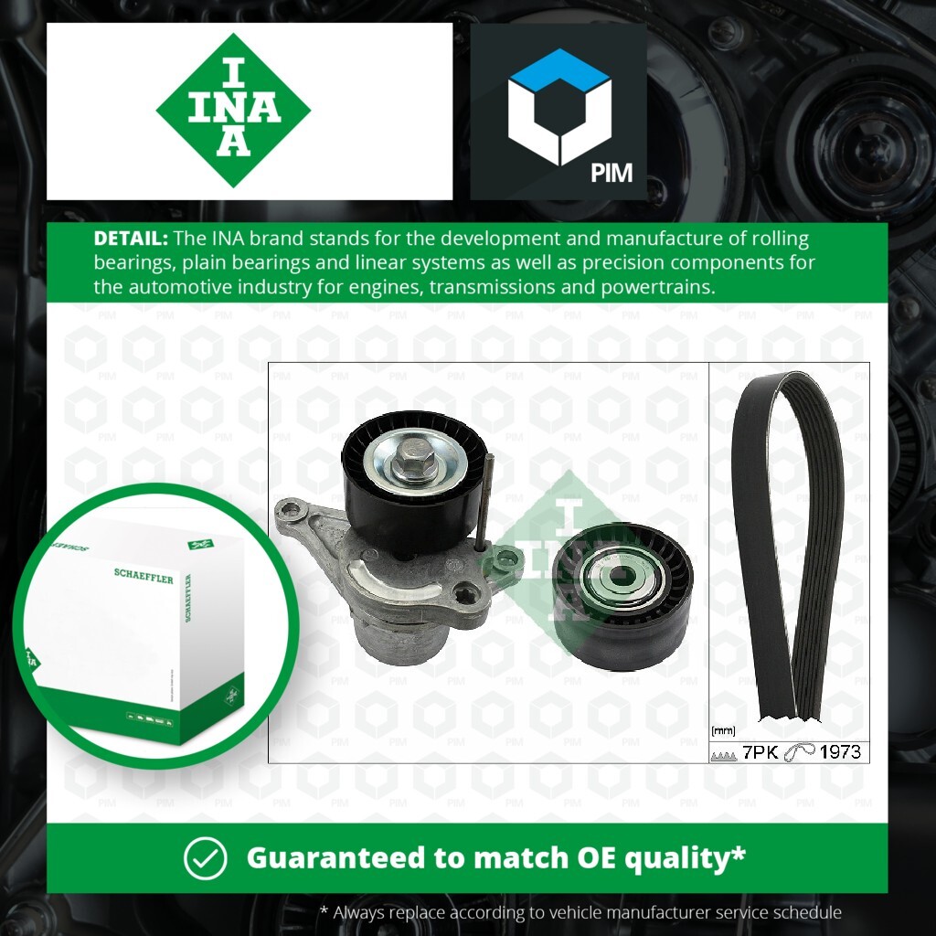 Drive Belt Kit Fits RENAULT TRAFIC Mk2 2.0d 2006 on Set INA 1172000q0c ...