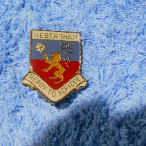 #D476. HEBERSHAM PUBLIC SCHOOL LAPEL BADGE | eBay Australia