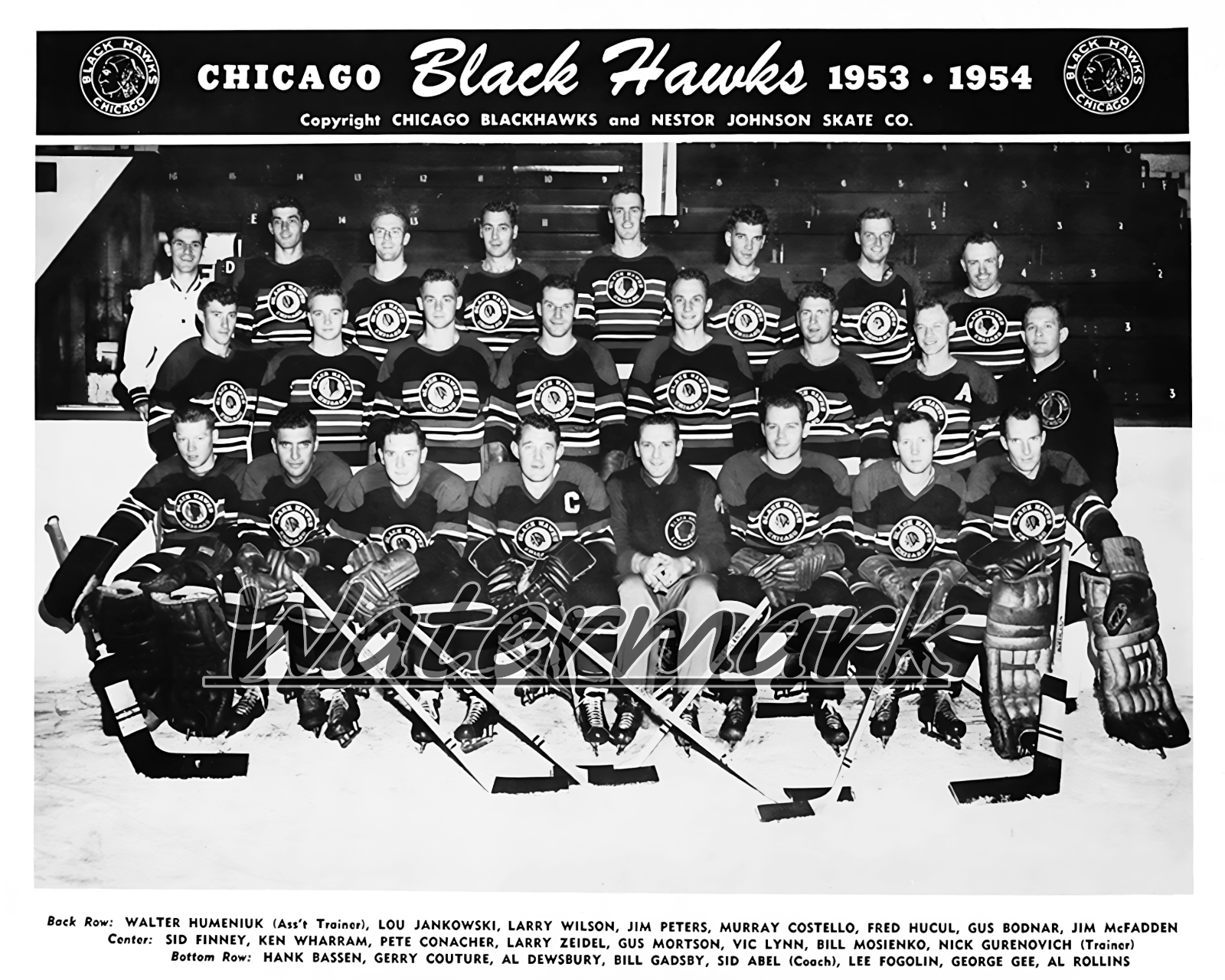 NHL 1953 -54 Chicago Black Hawks Team Picture with Names 8 X 10 Photo ...