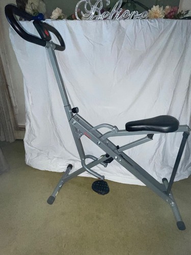 Sunny Health & Fitness Upright Row-N-Ride™ Rowing Machine | eBay