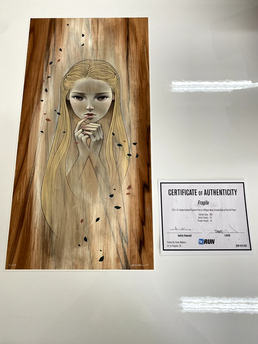 Audrey Kawasaki Artist