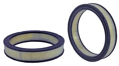 Air Filter Wix 42067 | eBay