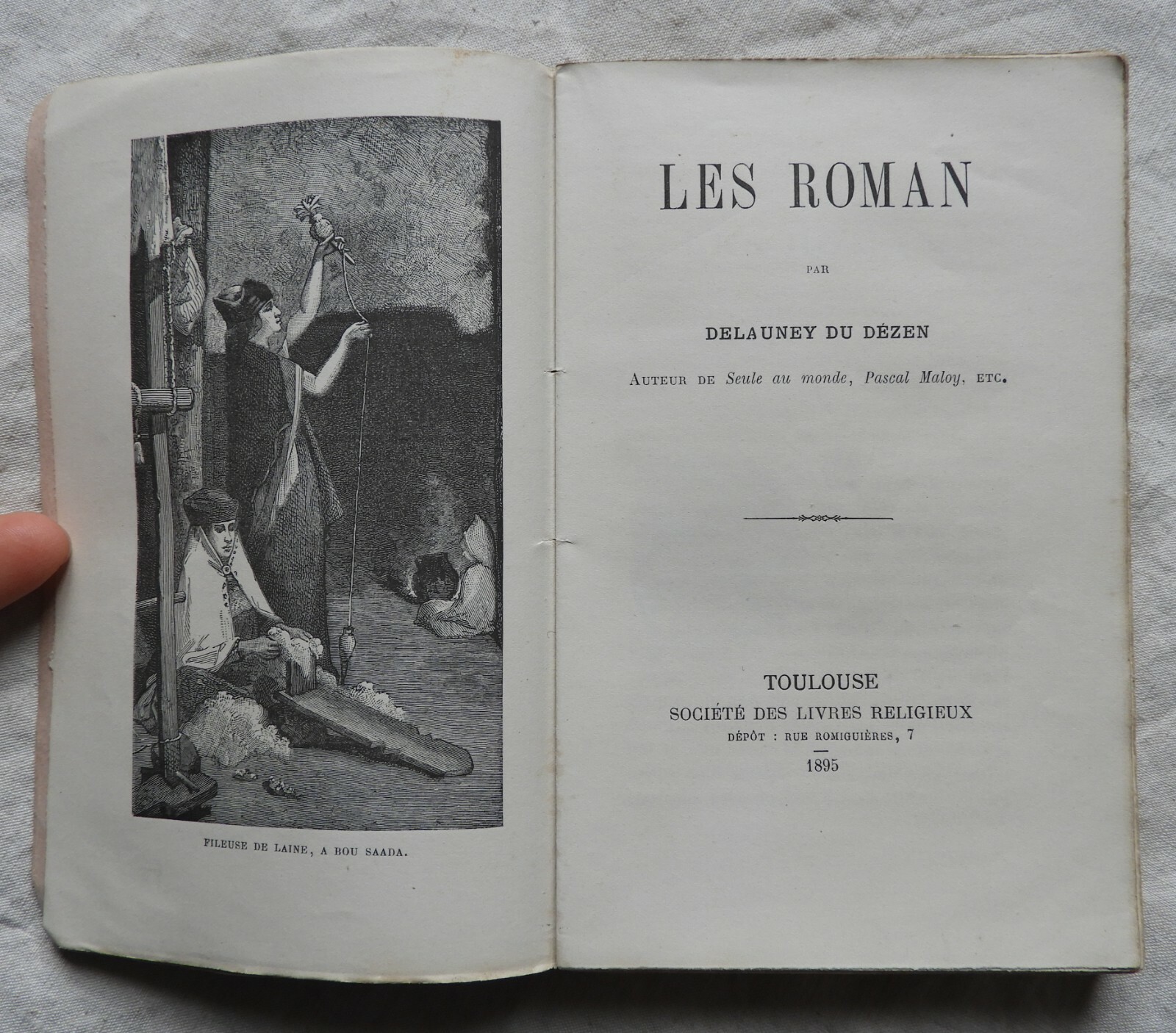 LES ROMAN - DELAUNEY DU DEZEN - 1895 (ouvrage broché) | eBay