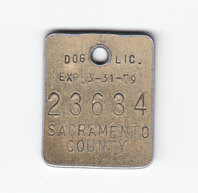 1978-79 SACRAMENTO COUNTY (CALIFORNIA) DOG LICENSE TAG #23634 | eBay