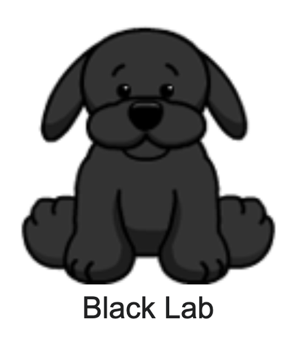 Webkinz Classic Black Lab Code Only - Virtual Pet Kinz | eBay