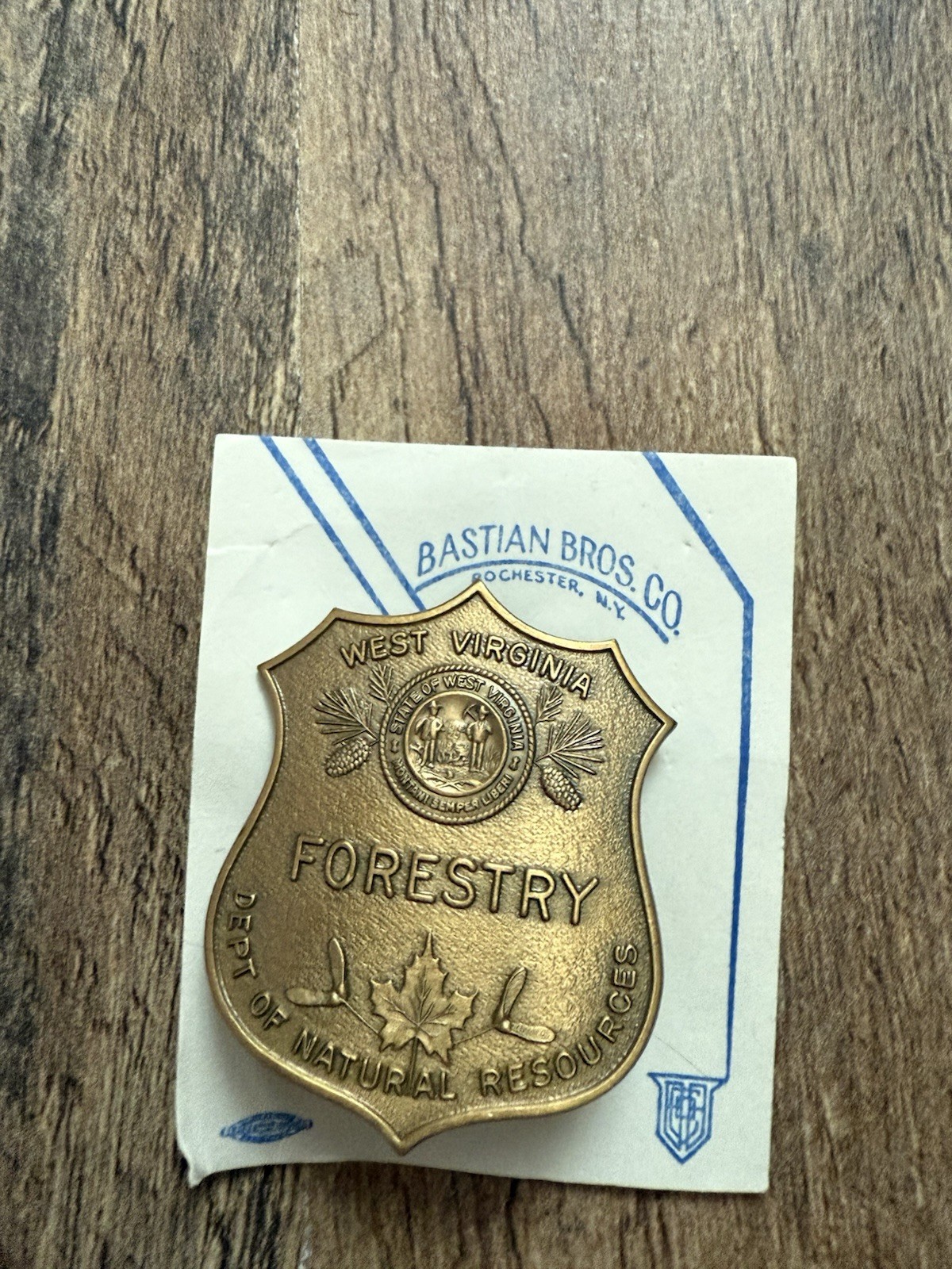 1960s West Virginia FORESTRY Pin Badge Department of Natural Resources ...