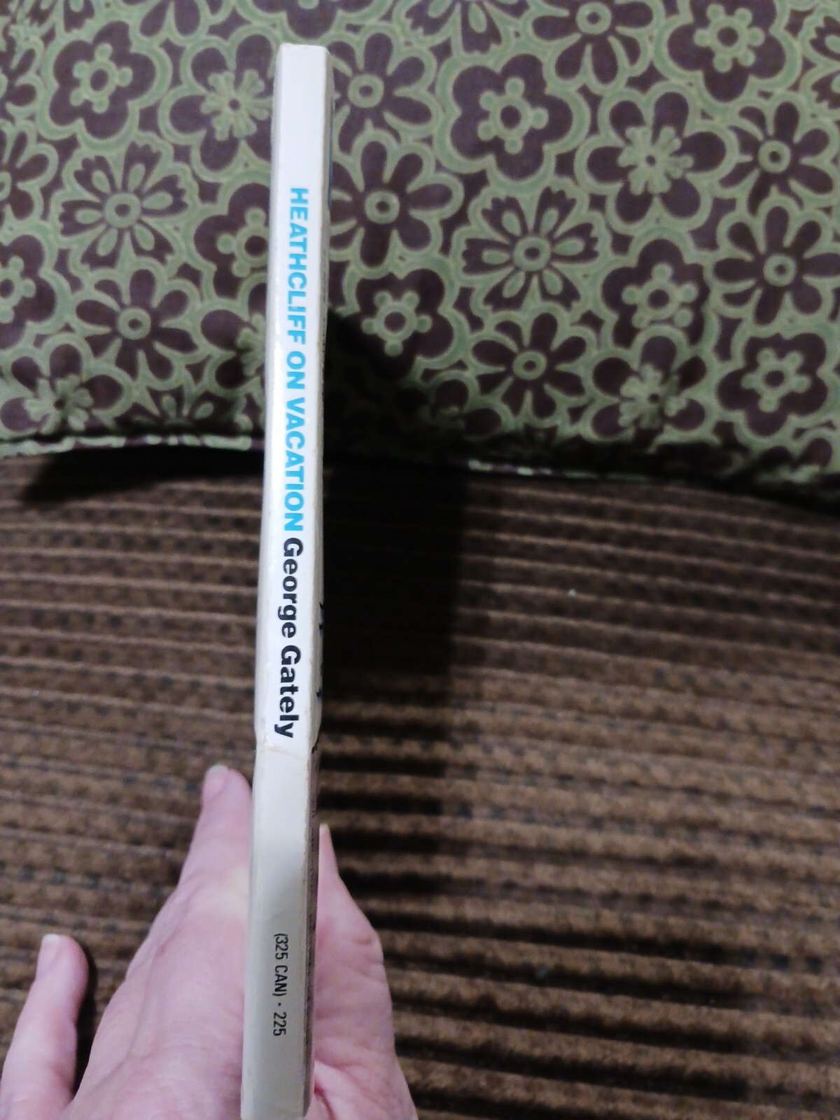 Heathcliff: On Vacation by George Gately Charter Books (1986) | eBay