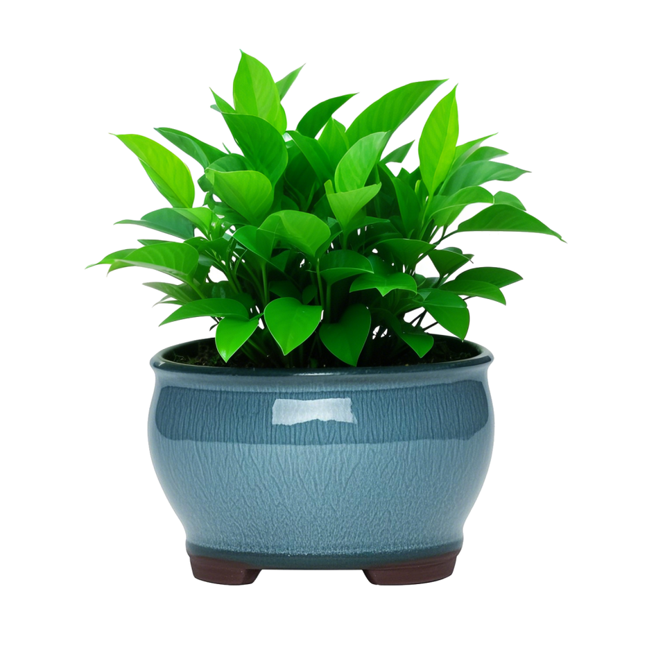Ceramic Plant Pot Round Flower Pot Succulent Mini Glazed Pots w ...