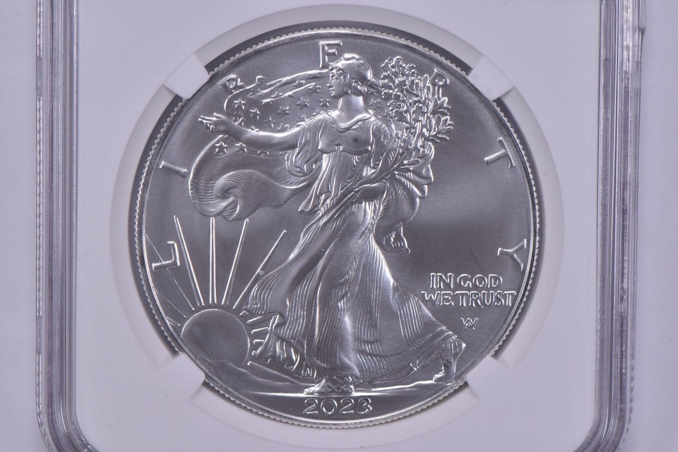 2023 American Silver Eagle MS69 NGC Brown Label *2305 | eBay
