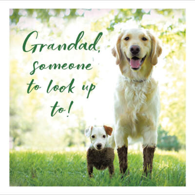 Funny Look Up To Grandad Fathers Day Card – Cute Muddy Dogs Greeting ...