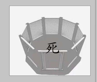 Full Size MMA Cage/Ring 7.3mx7.3m | eBay