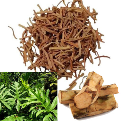 Dried Lasia Root Slices | Organic Dehydrated Lasia Spinosa | Fiber ...