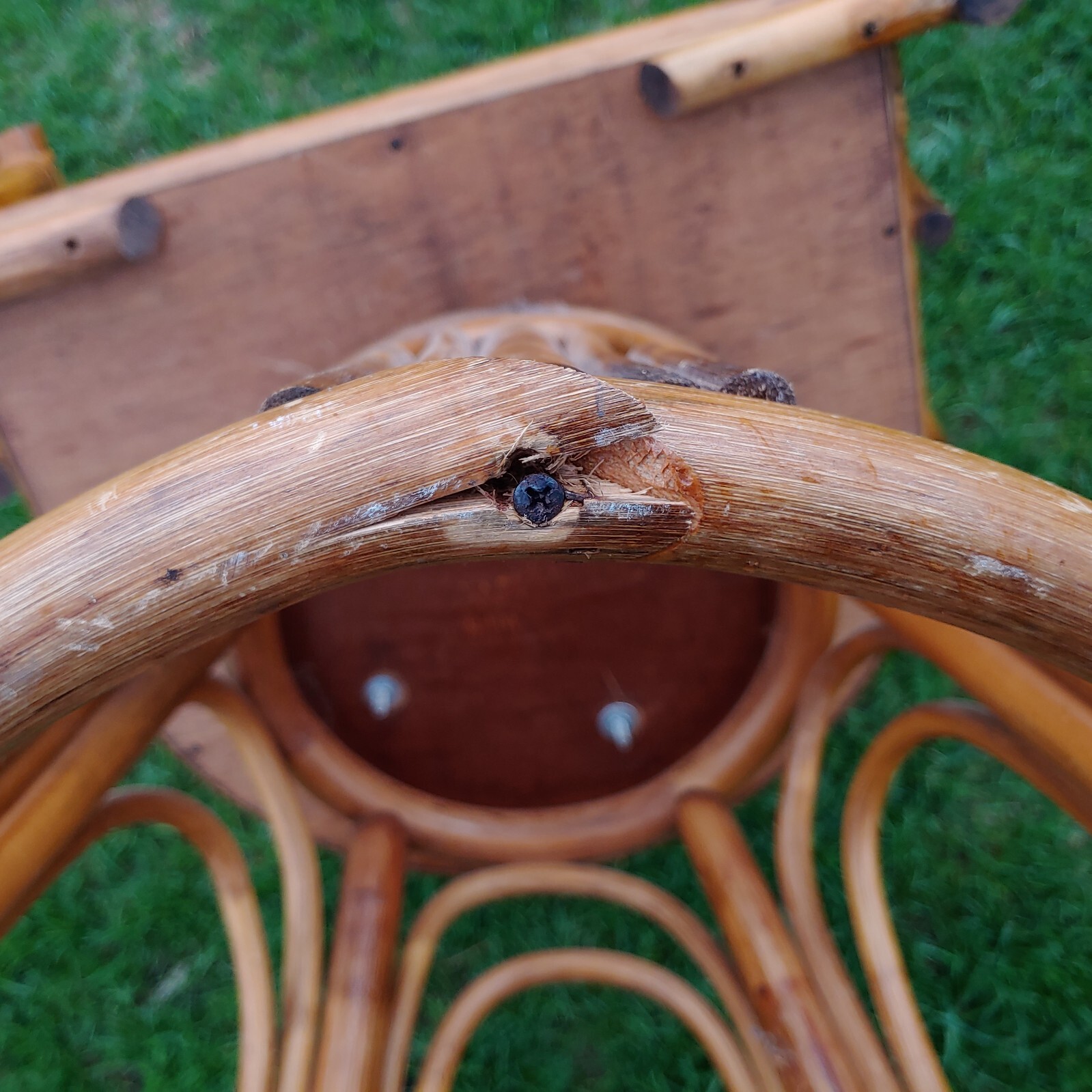 Vintage Swivel Rattan Chair Bentwood Cane Back Willow and Reed Henry ...