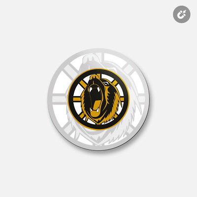 Boston Bruins NHL | 4'' X 4'' Round Decorative Magnet | eBay