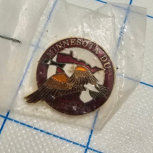 VTG Lepel Pinback Ducks Unlimited Minnesota 1997 | eBay