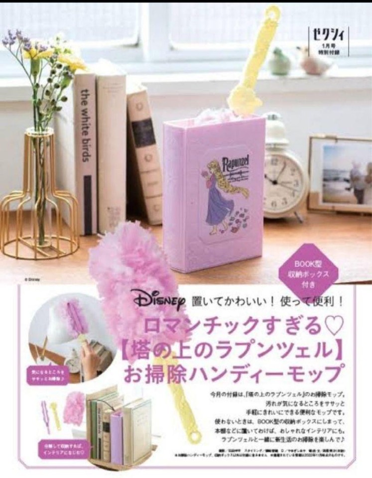 Rapunzel Disney On The Tower Cleaning Handy Mop Used oo6 | eBay