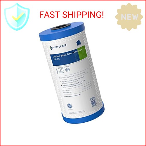 Pentair Pentek EP-BB Big Blue Carbon Water Filter, 10-Inch, Whole House ...