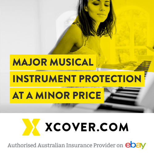 Musical Instrument Protection (INS34753499N) | eBay Australia