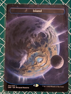 MTG Space Island Unfinity 241/244 Borderless Land NM | eBay