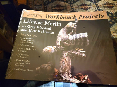 2002 Wildfowl Carving Magazine Workbench Projects Lifesize Merlin | eBay