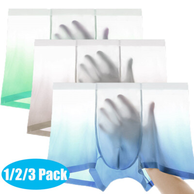 Mens Ice Silk See Through Shaping Trunk Underwear Super Thin Pouch ...