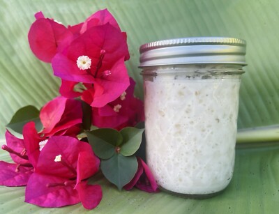 70g LIQUID SAN FRANCISCO SOURDOUGH STARTER Very Active Live Wet | eBay