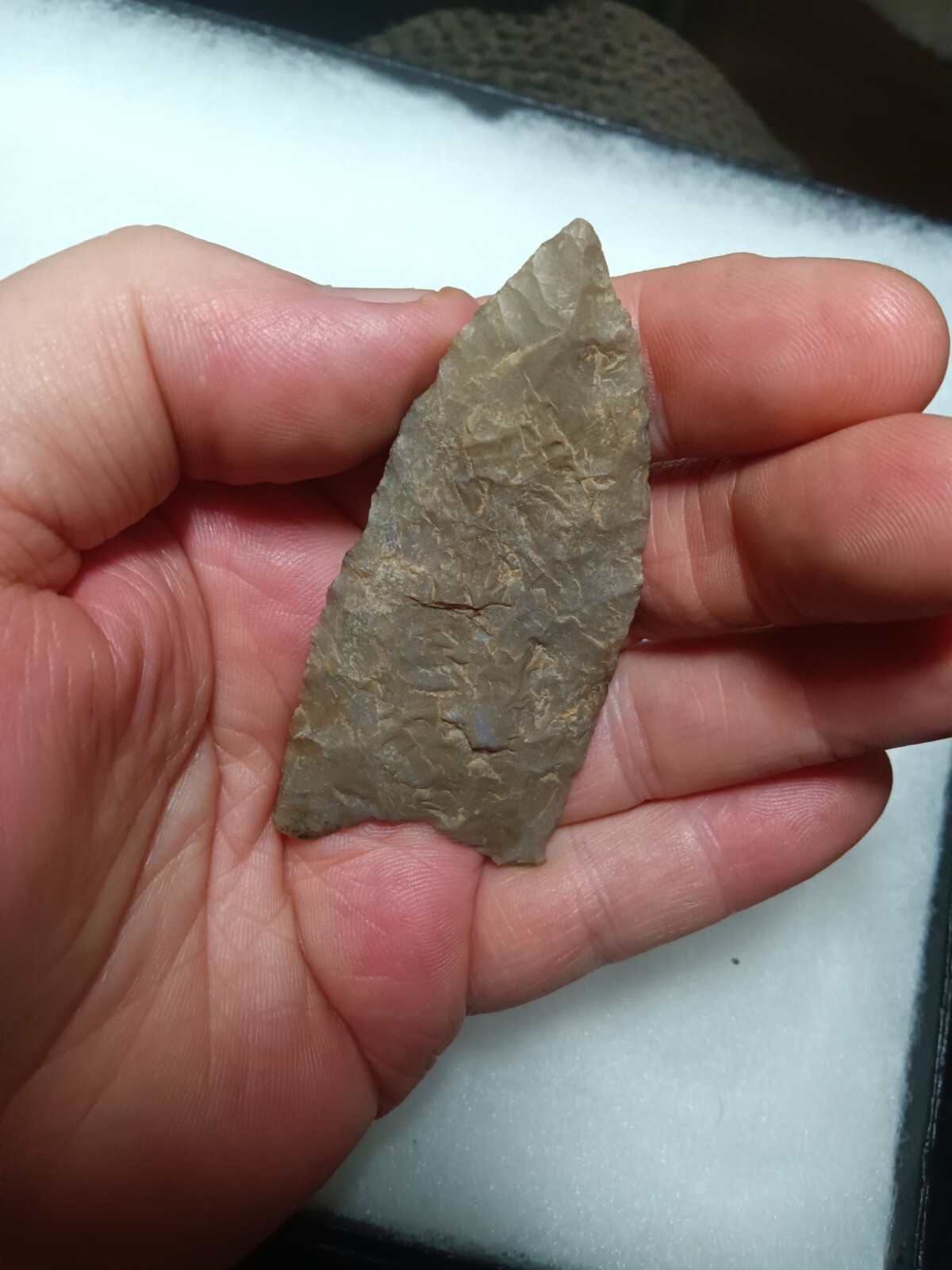 Authentic Kentucky Paleo Fluted Quad Indian Arrowhead Artifact Coa | eBay