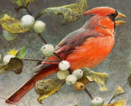 Robert Bateman - Cardinal & Snowberries - Paper Print - size 5" x 7" | eBay