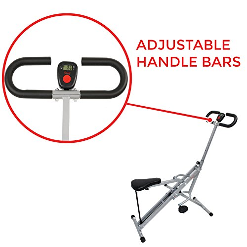 Sunny Health & Fitness Row-N-Rider Upright Rowing Machine | eBay