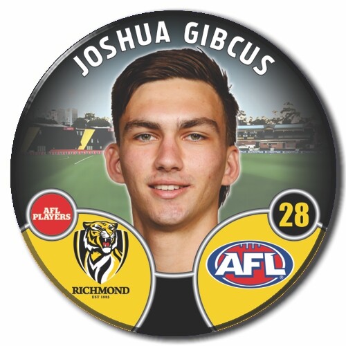 2022 AFL Richmond - GIBCUS, Joshua | eBay Australia