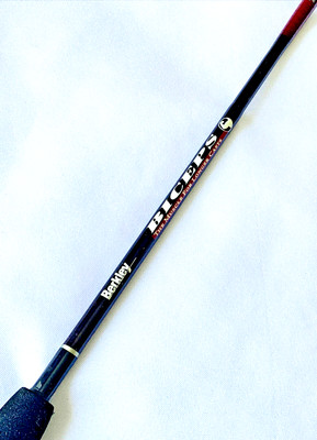 Spinning - Berkley Graphite